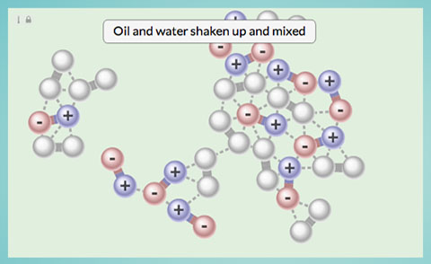 Oil and Water | Concord Consortium