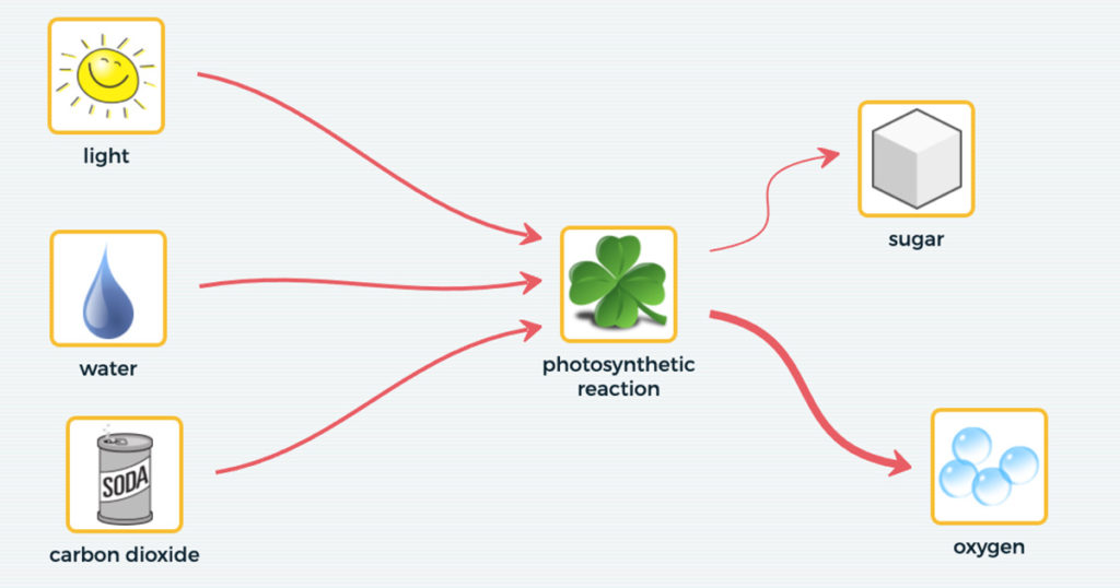 Under the Hood: Characterizing Systems Model Structure – Concord Consortium